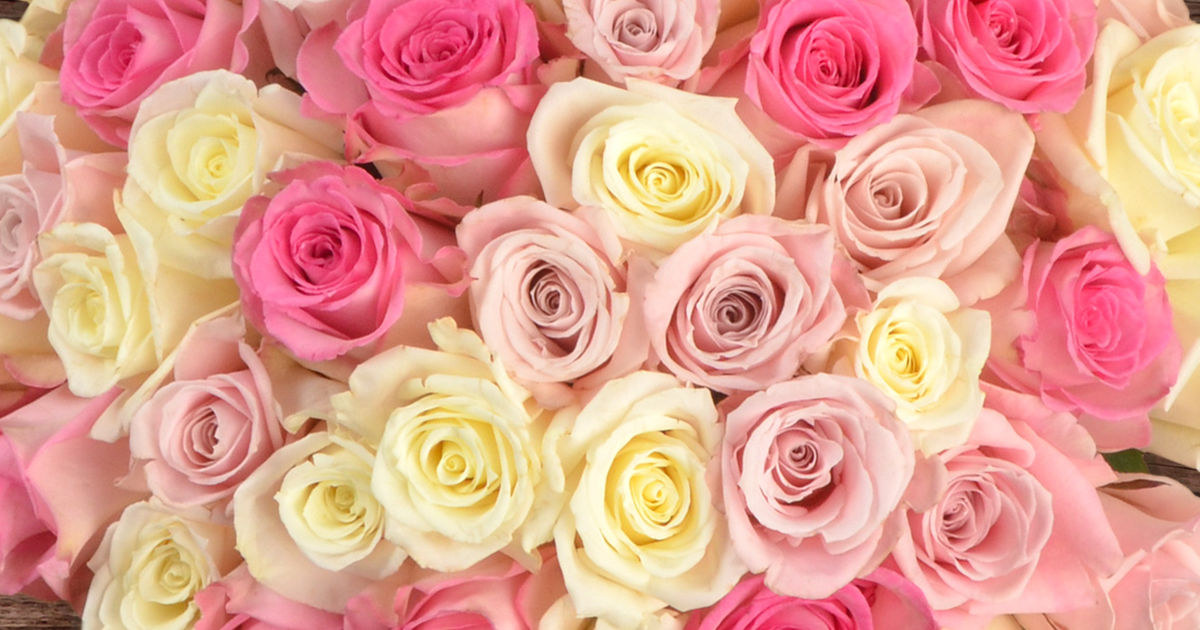 Win It! A Dozen PassionRoses | ExtraTV.com